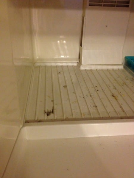 Mold in the Refrigerator... What To Do? - Chem Scope, Inc.